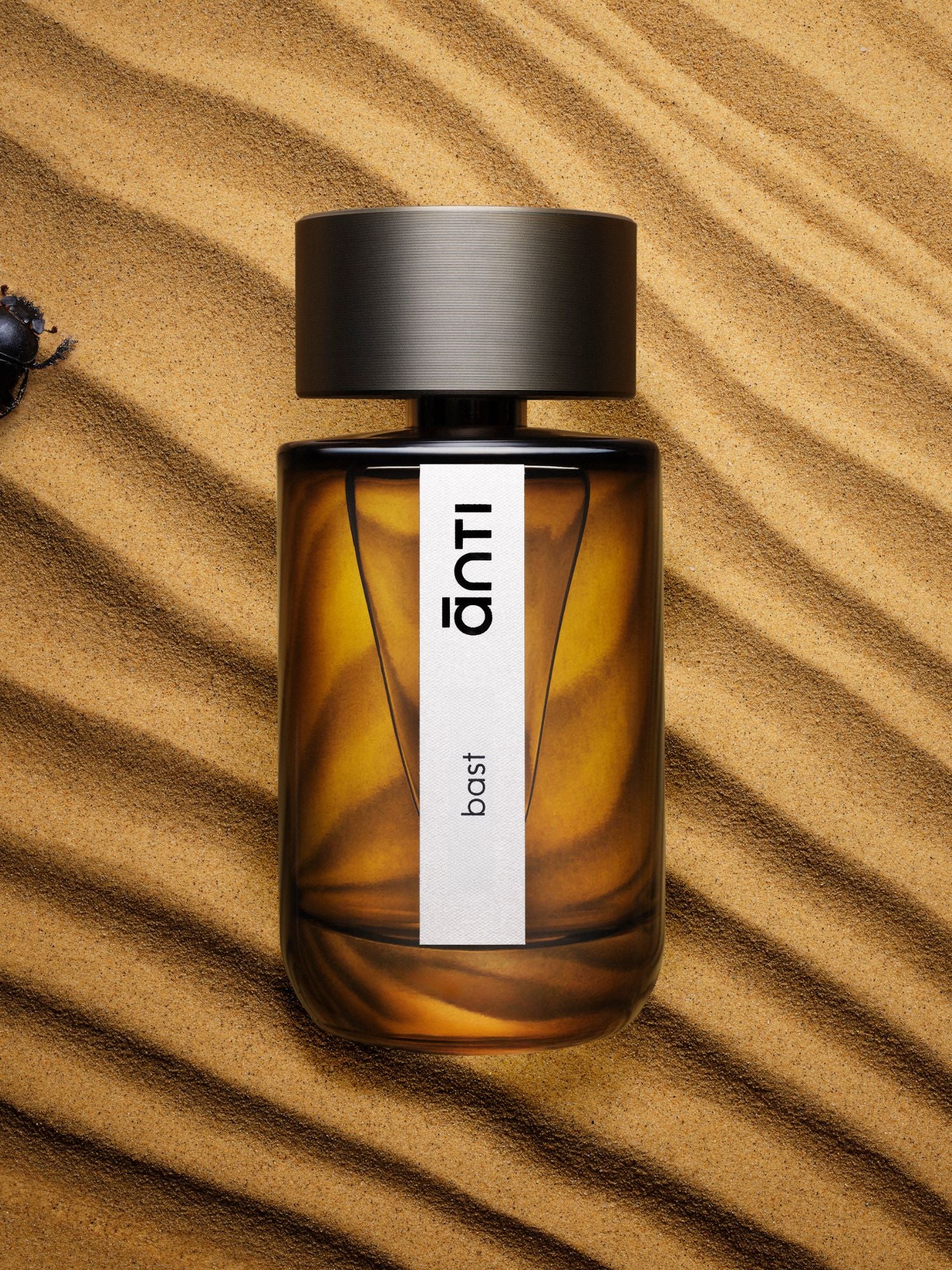 anti parfum - time travel in a bottle – anti-parfum
